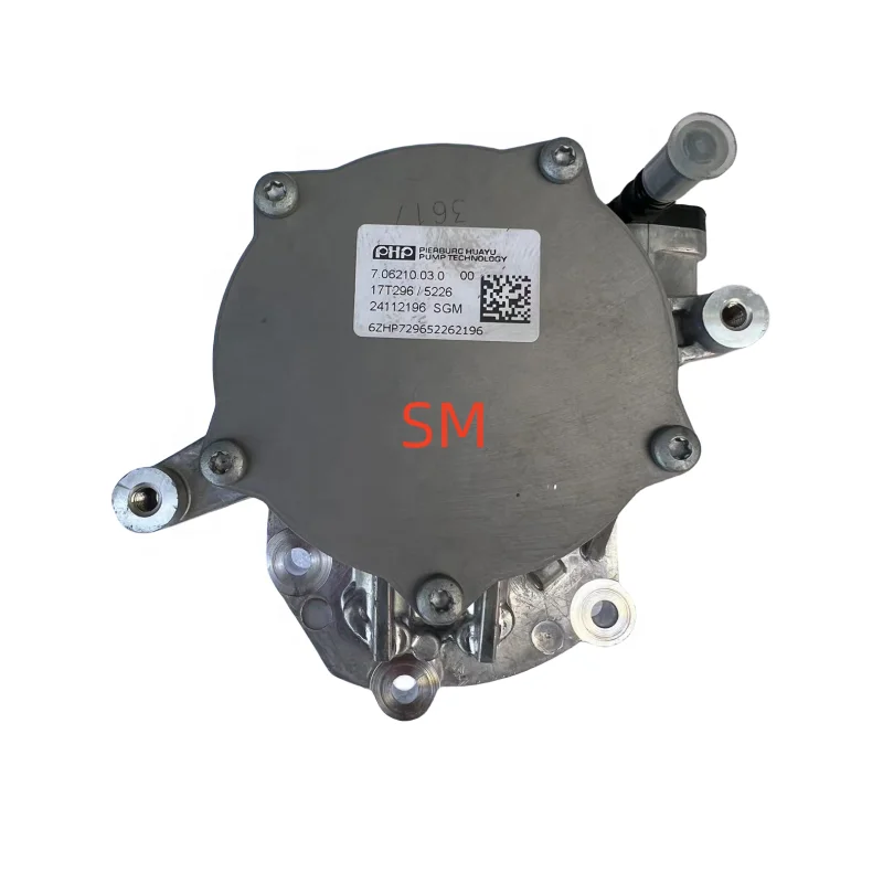 Automotive parts vacuum pump assembly 1.3T LIY OEM 24112669 24112196 ...