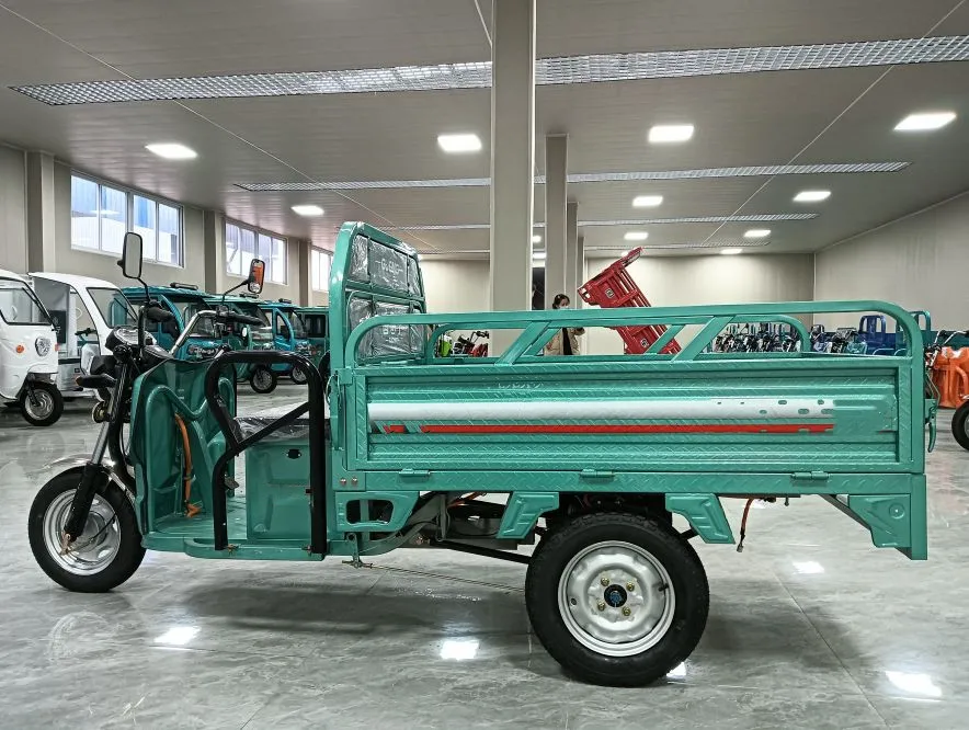 Factory Price Tuk Tuk Motorcycle Eec Coc 3 Wheels Adult Electric Cargo ...