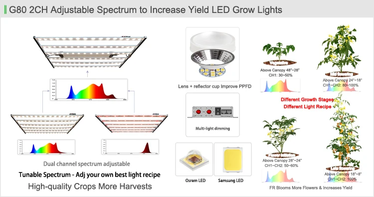 Koray G80 U Series High Uniformity Folding Led Plant Grow Light ...