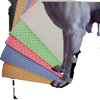 Flexible Dynamic Thermoplastic Splinting Solutions For Pet Dog Cat Leg ...