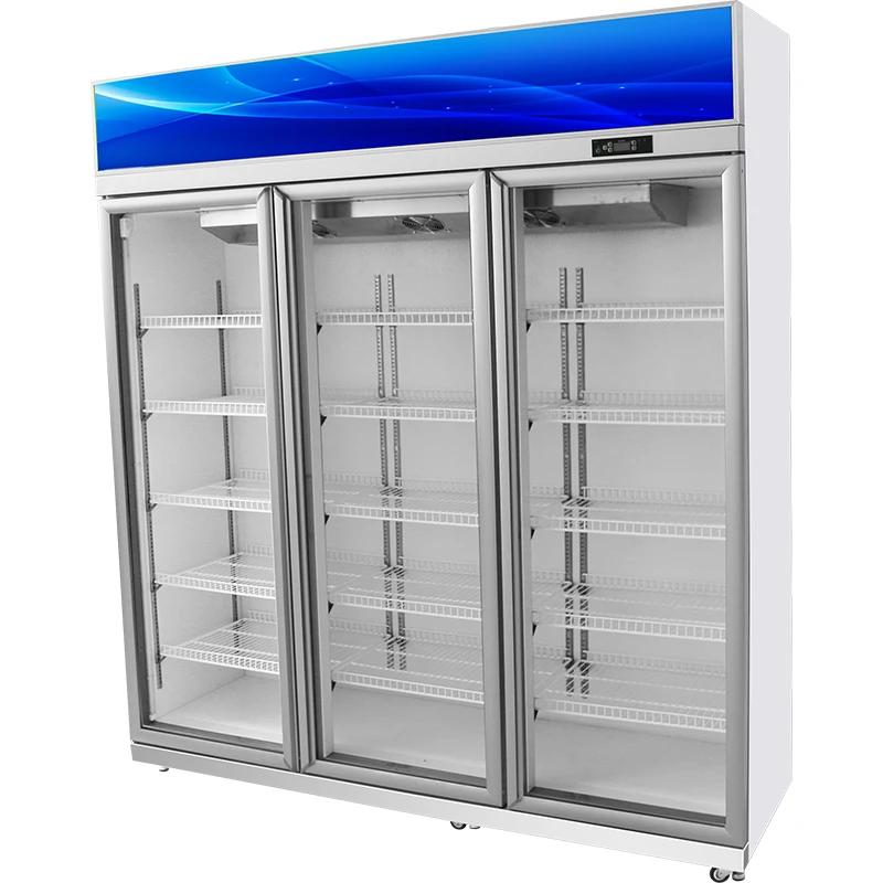 Luxury Soda Frigo Congelateur Congeladora Fridge Beer Beverage Cooler ...