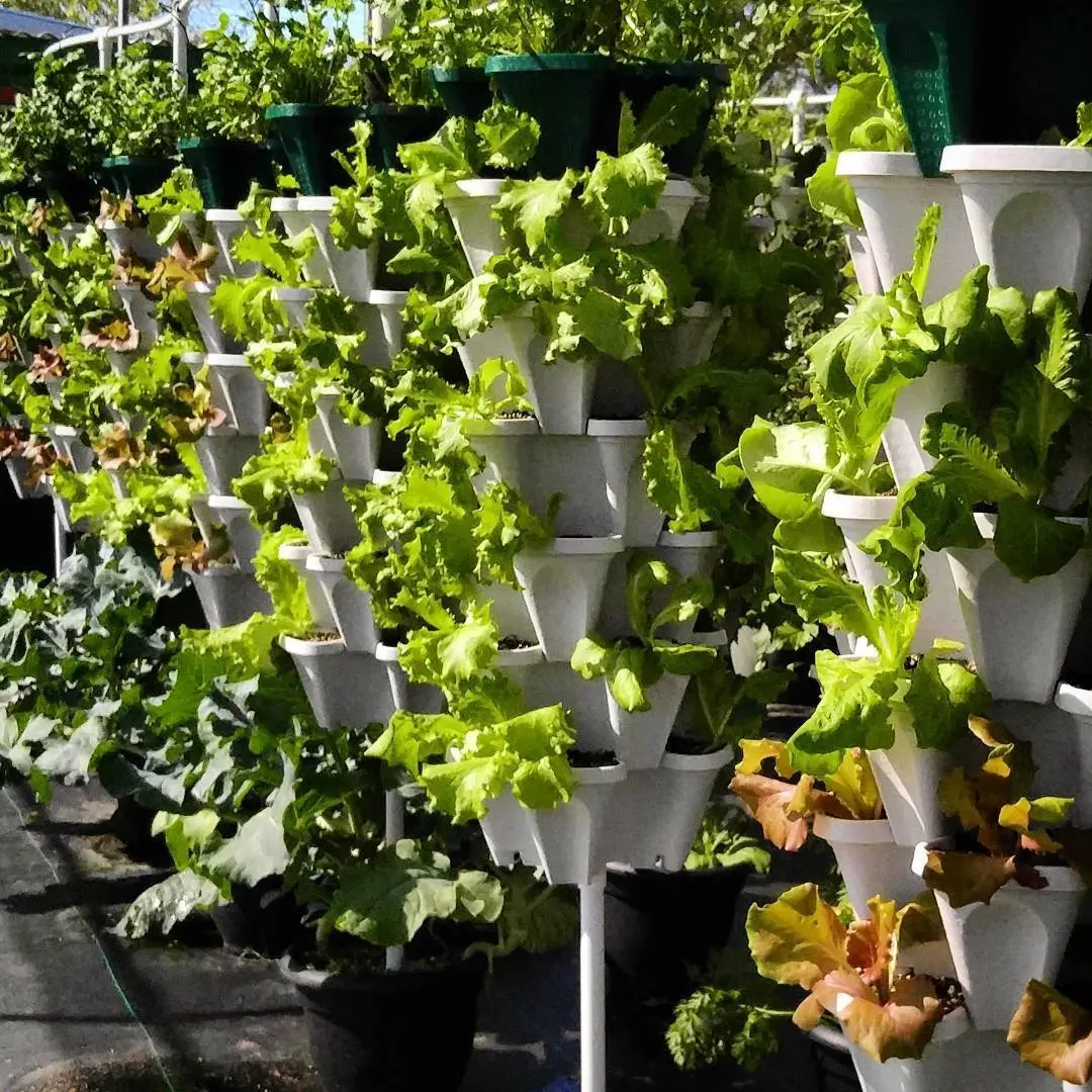 Hydroponics Tower Vertical Hydroponic Column for Growing Lettuce ...