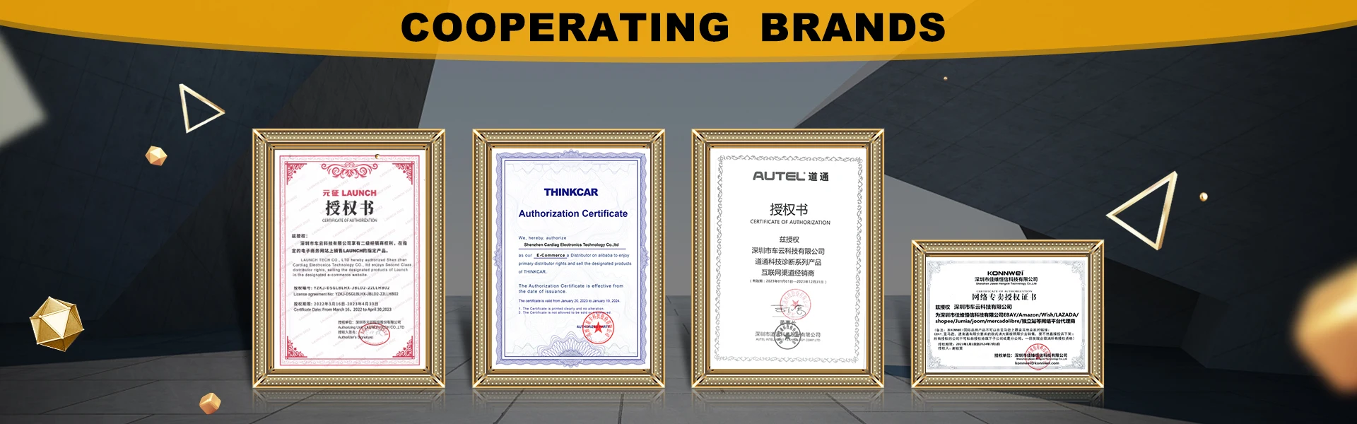 Company Overview - Shenzhen Cardiag Technology Co., Ltd.