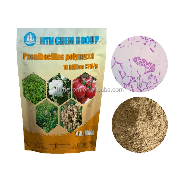 Probiotics Lactobacillus Paracasei Aquaculture Paenibacillus Polymyxa