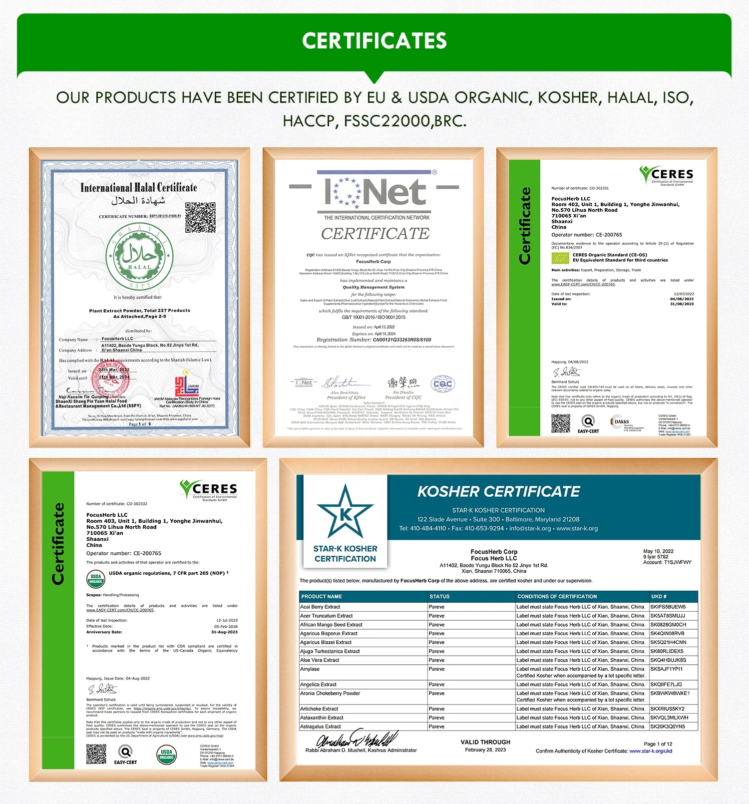 Beef Liver Gummies Beef Heart Kidney Pancreas Spleen Grass Fed Bovine ...