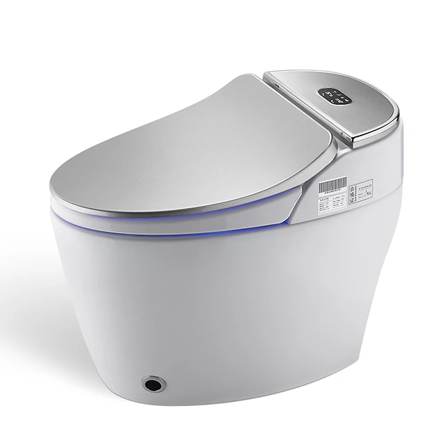 Modern Ceramic Smart Toilet Composting Toilet Without Water Tank Pulse ...