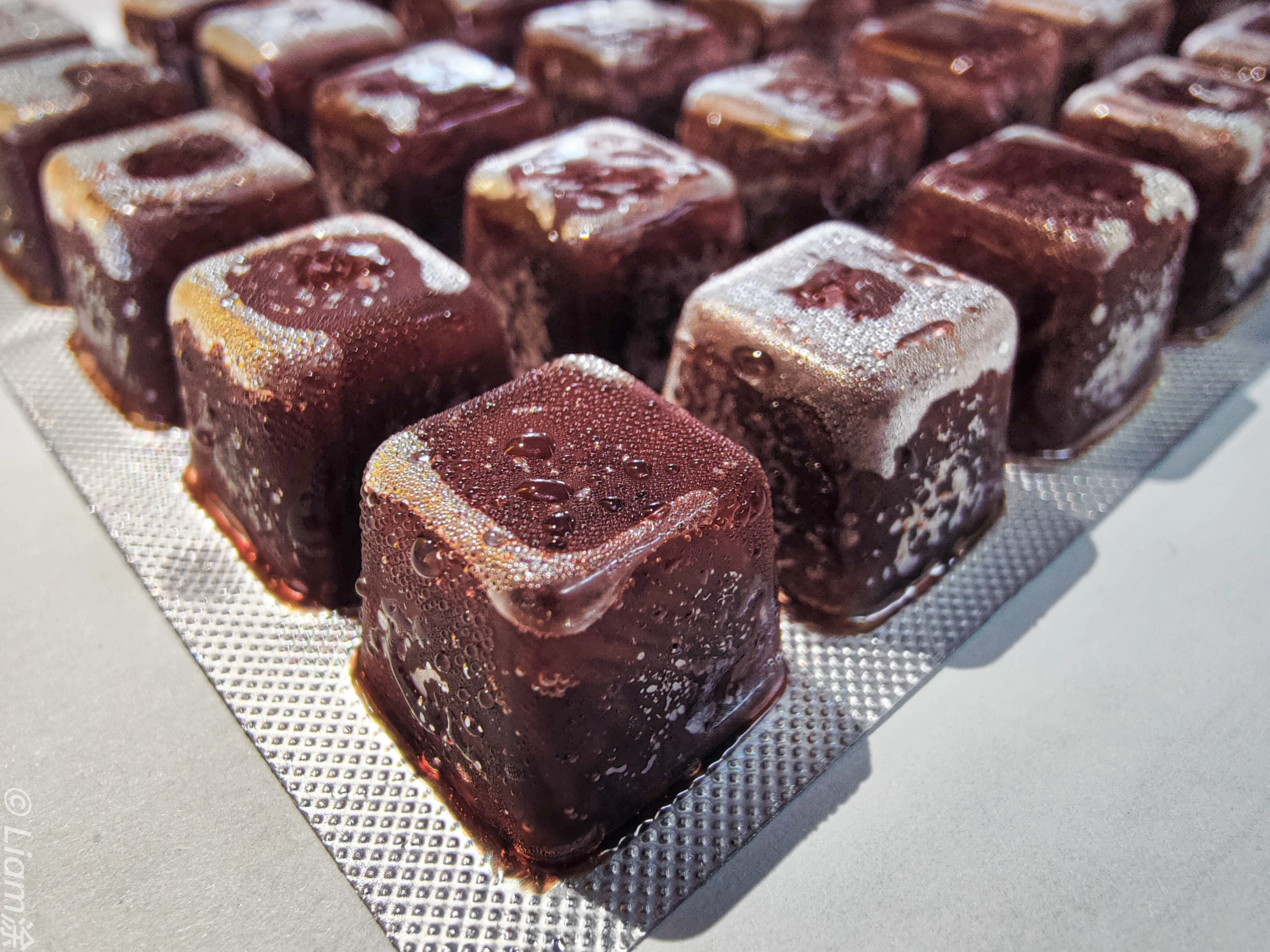 Frozen Bloodworm Cubes for Tropical Fish - High-Protein Pet Food for ...