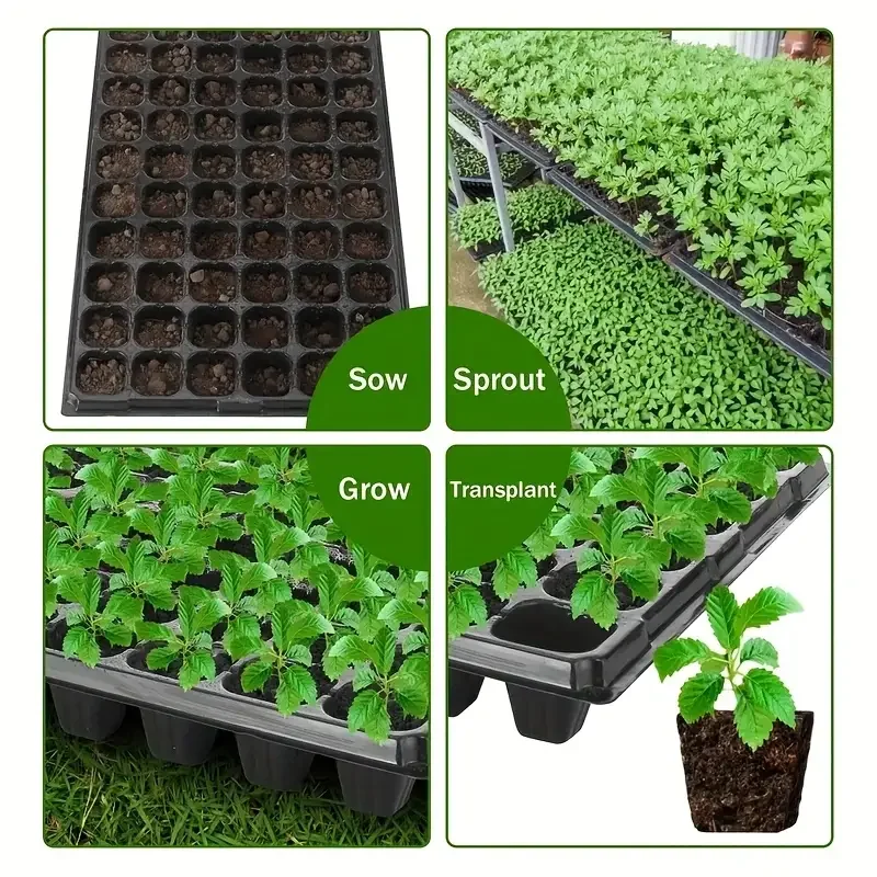 128 200 Holes Seeds Planter Tray Planter Starting Grow Germination ...