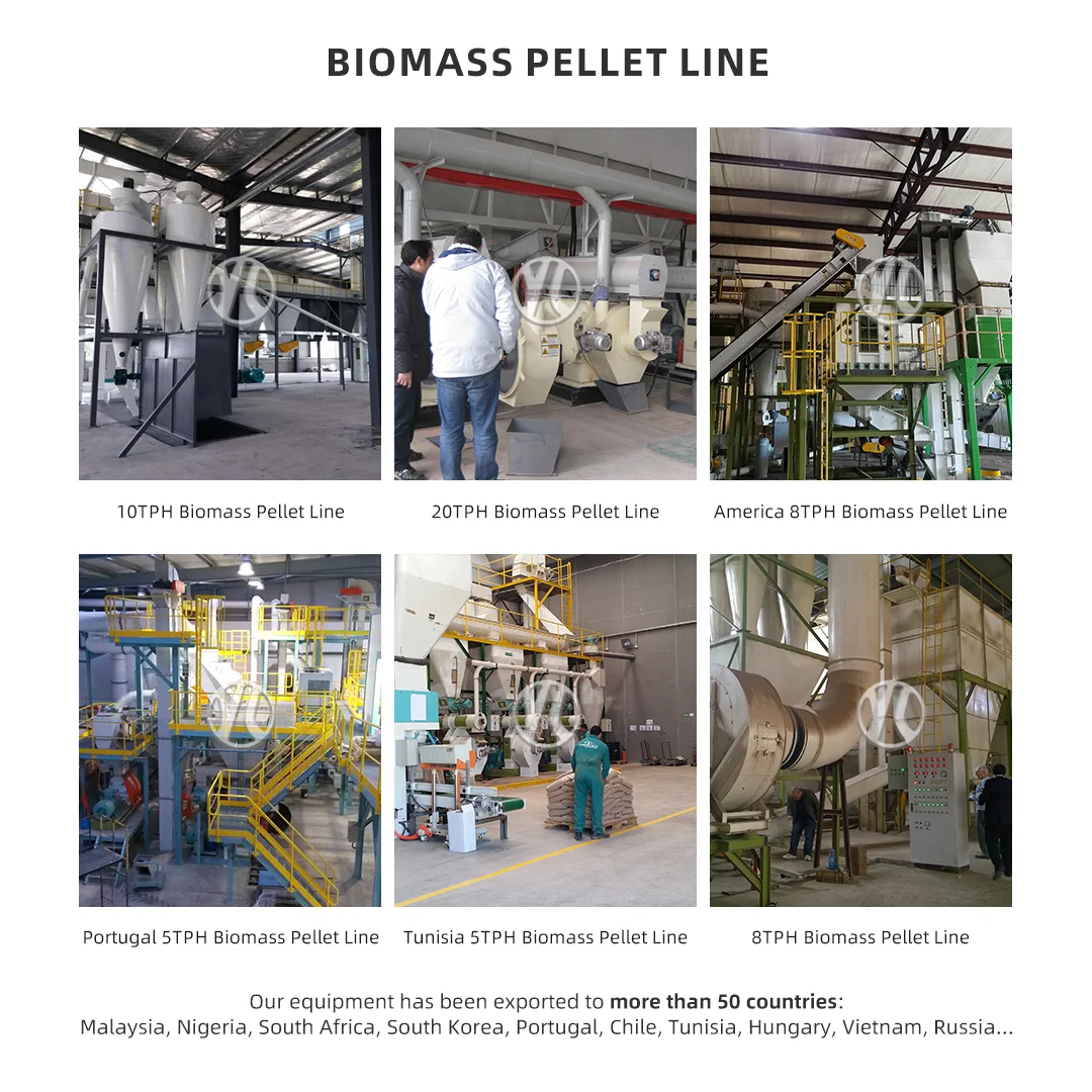 Automatic Biomass Pellet Machine with Built-in Cooler and Screener for ...