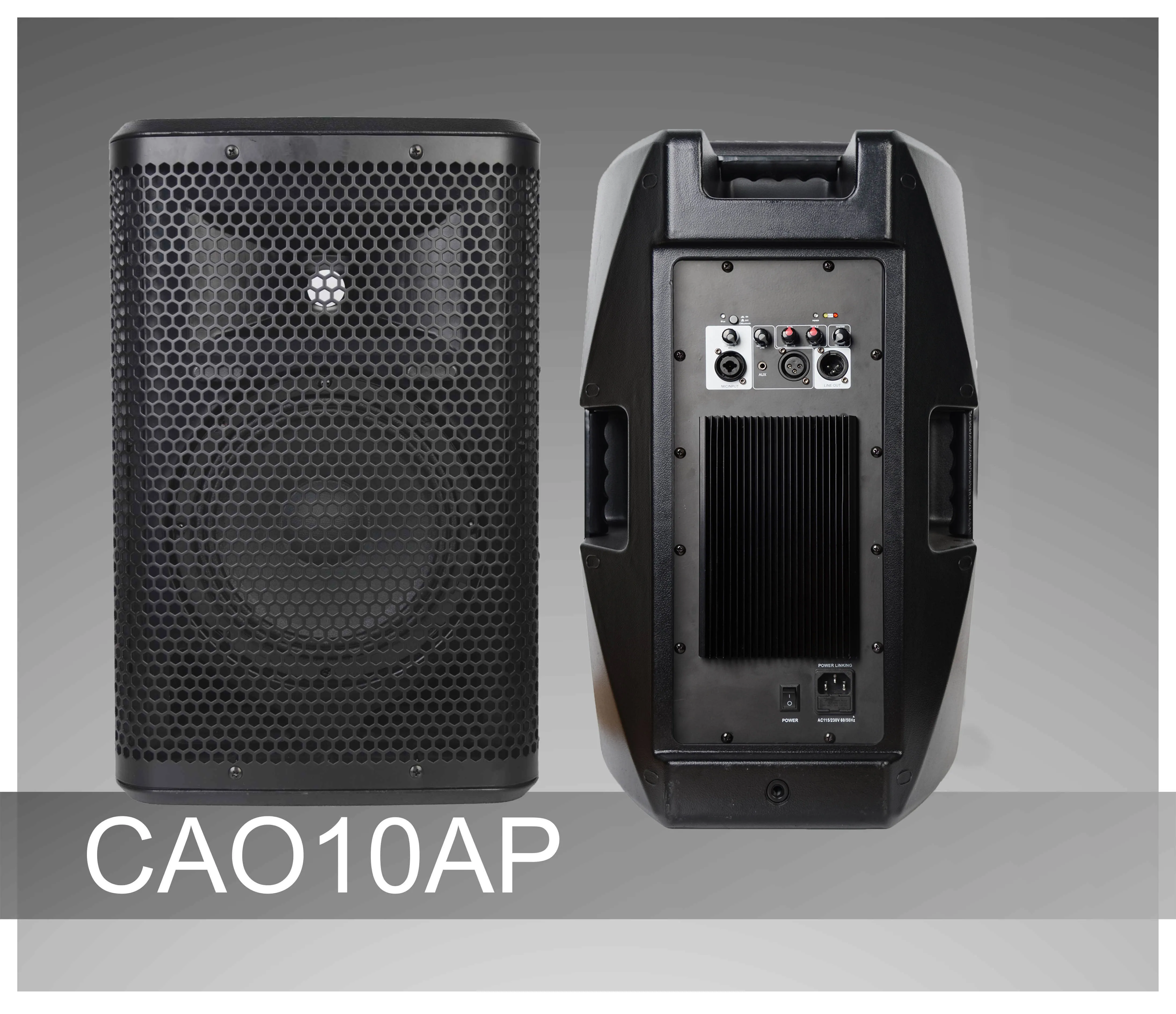 Rq Cao10ap Sound Box 10 Inch Big Power Professional Audio Wooden ...