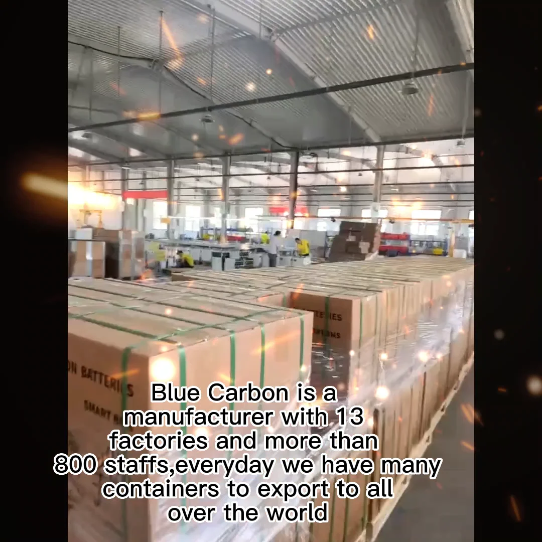 Blue Carbon 5kwh Lithium 100ah 48v 250ah Lifepo4 Batteries Energy ...