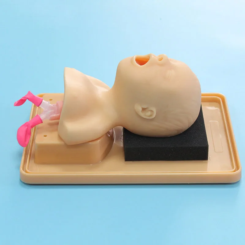Advanced Neonatal Tracheal Intubation Model Endotracheal Intubation ...