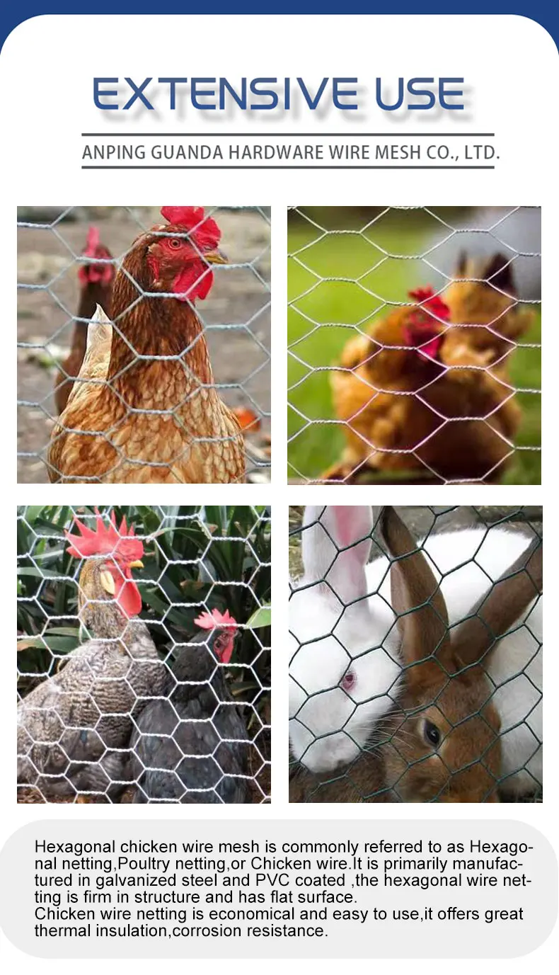 Factory Price Fish Trap Wire/chicken Wire /hexagonal Wire Mesh - Buy ...