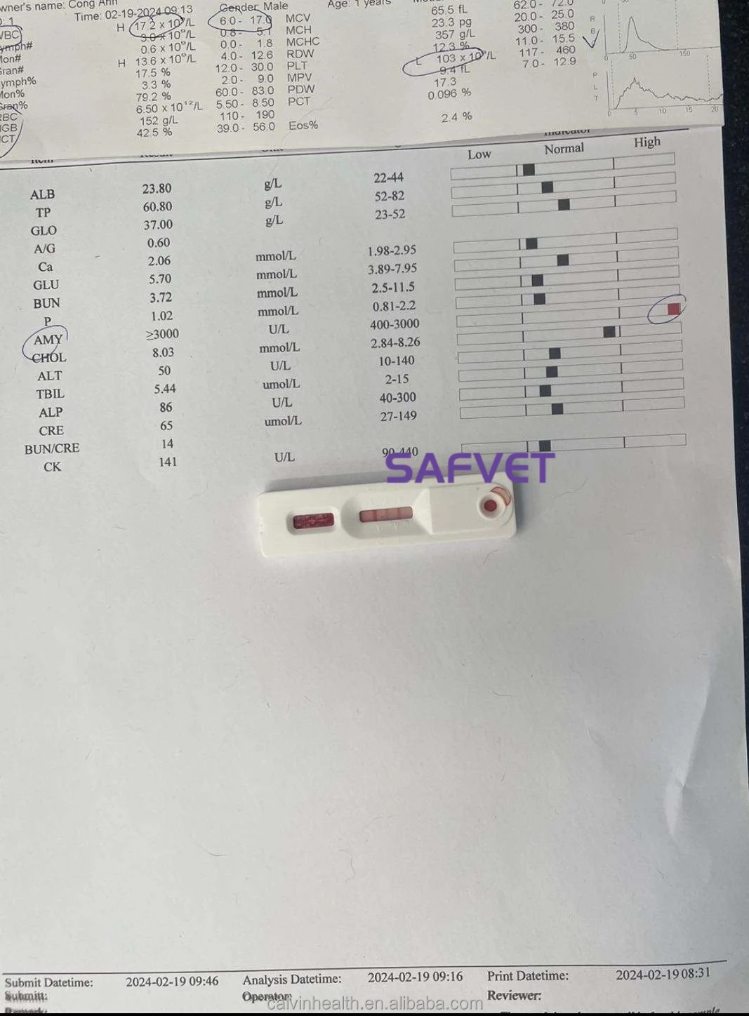 Canine Feline Toxoplasma Gondii Antibody Test Kit - 98% Accurate