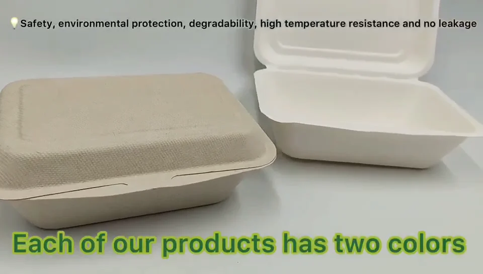 High-quality Eco Bagasse Food Container Bagasse Food Box 9"x6" Fruit ...