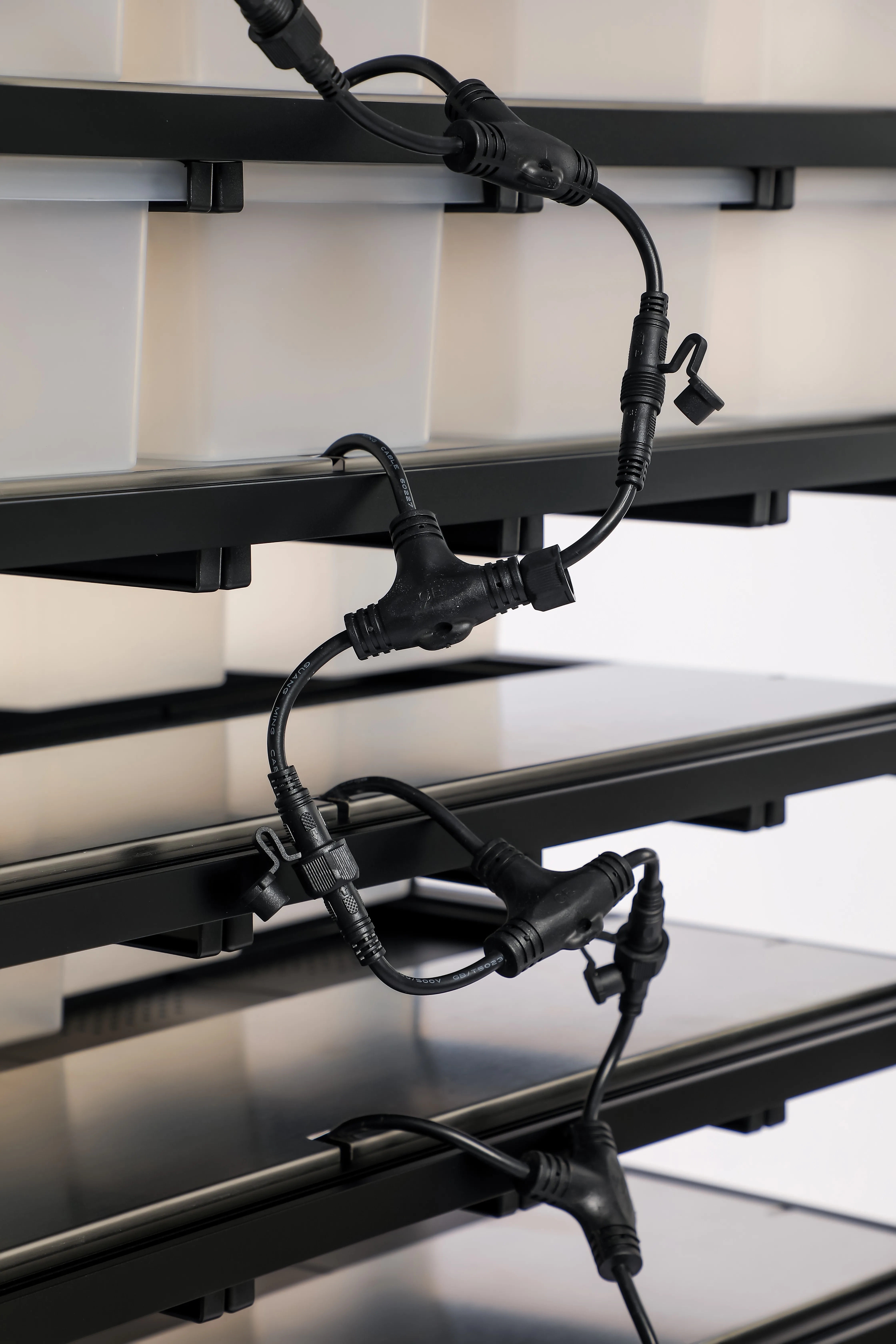 Snake Racks - Sustainable Solutions for Reptile Enclosures