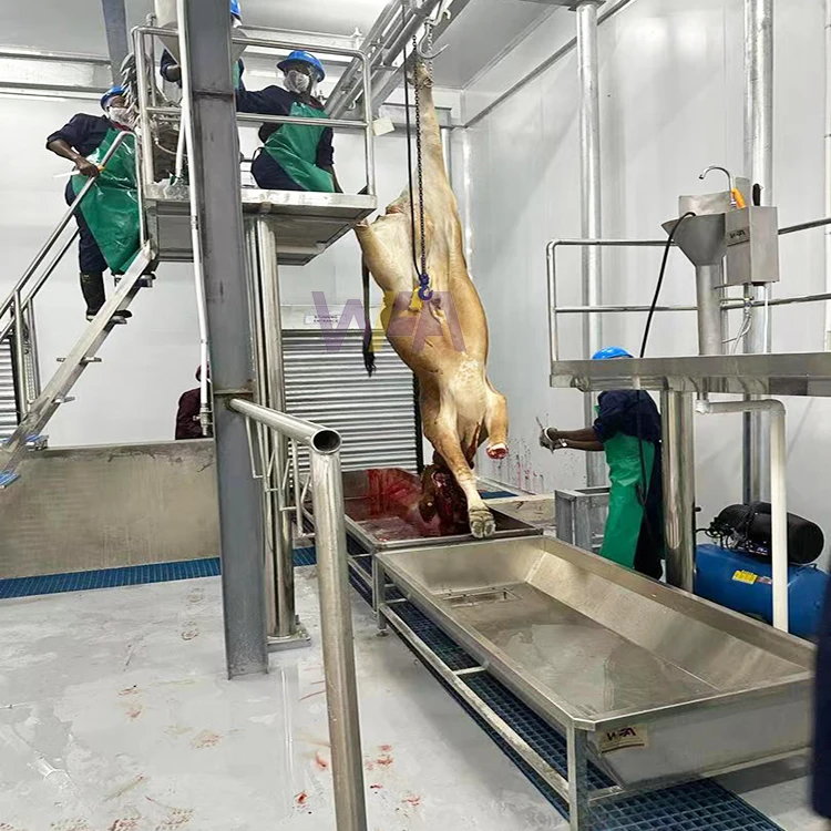 Small Scale Slaughterhouse Processing Line Bull Cattle Abattoir ...