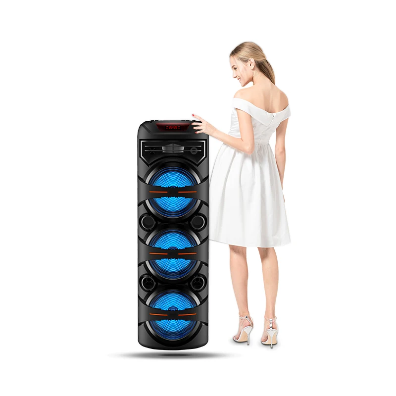 SING-E ZQS8302 Portable PA Speaker System for Outdoor Parties