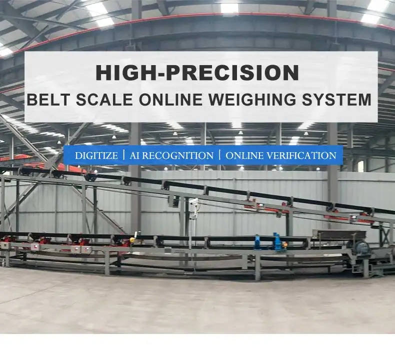 Ai Conveyor Belt Scale with Automatic Online Verification
