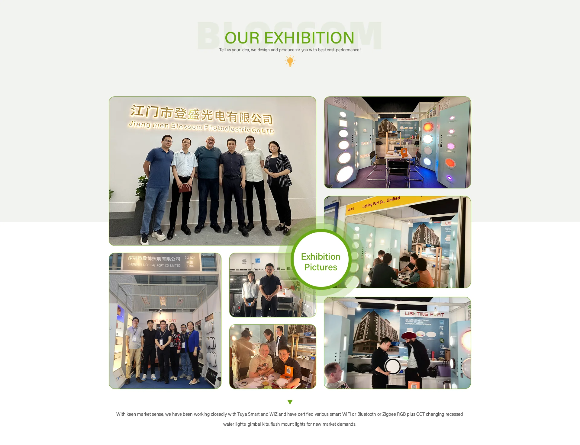 Company Overview - SHENZHEN BLOSSOM LIGHTING CO., LIMITED