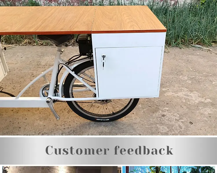 Bigger Freezer Bike 200L Ice Cream Tricycle for Sale