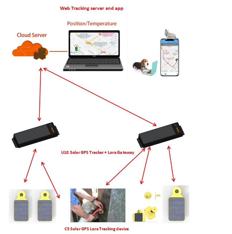 Mini Solar Powered 4G LTE Cattle Tracker - GPS & Lora