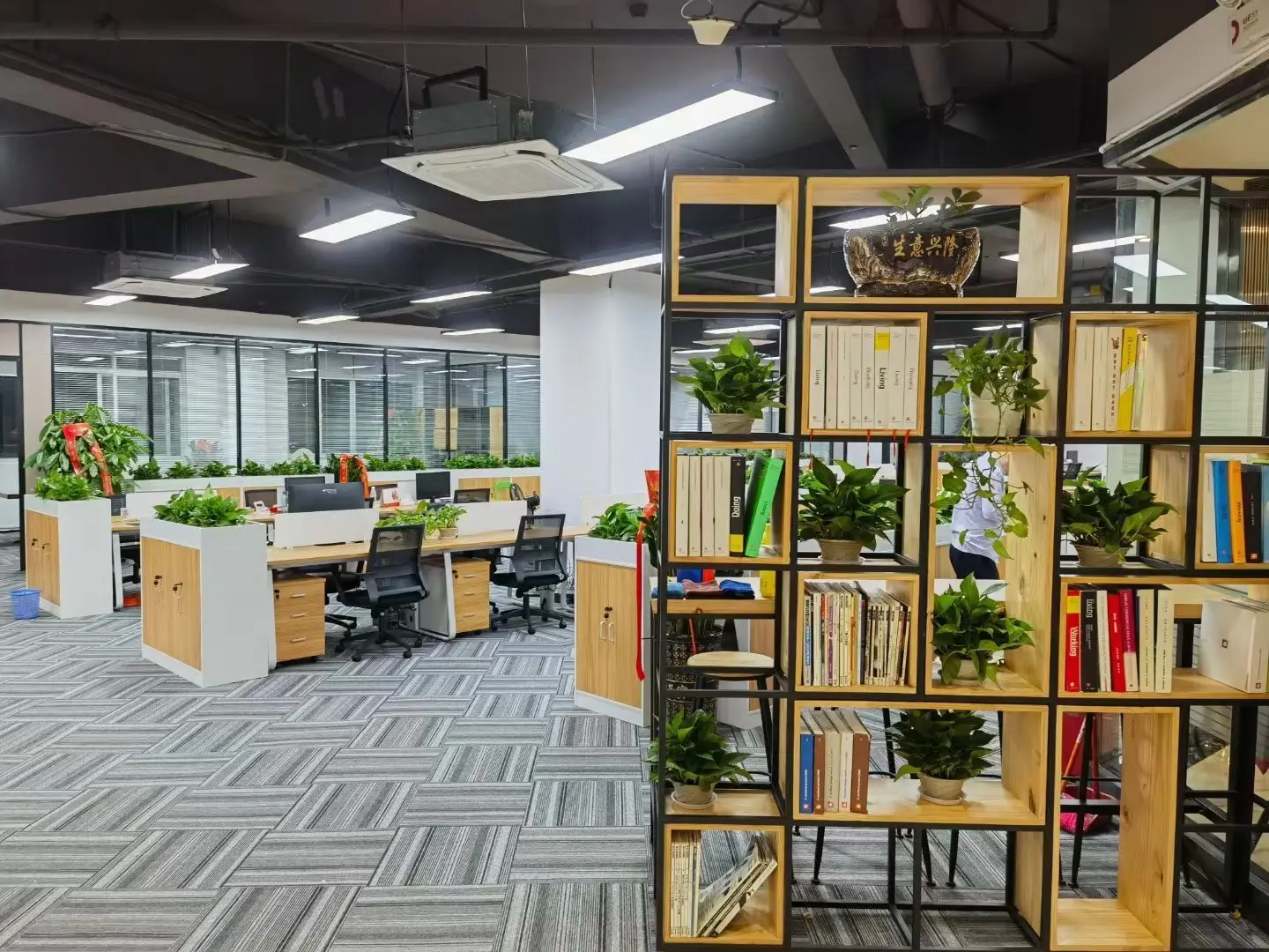 Company Overview - Shenzhen Leadoys Technology Co., Ltd.