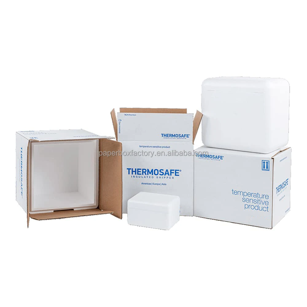 Thermo Chill Insulated Frozen Food Cooler Mailing Box