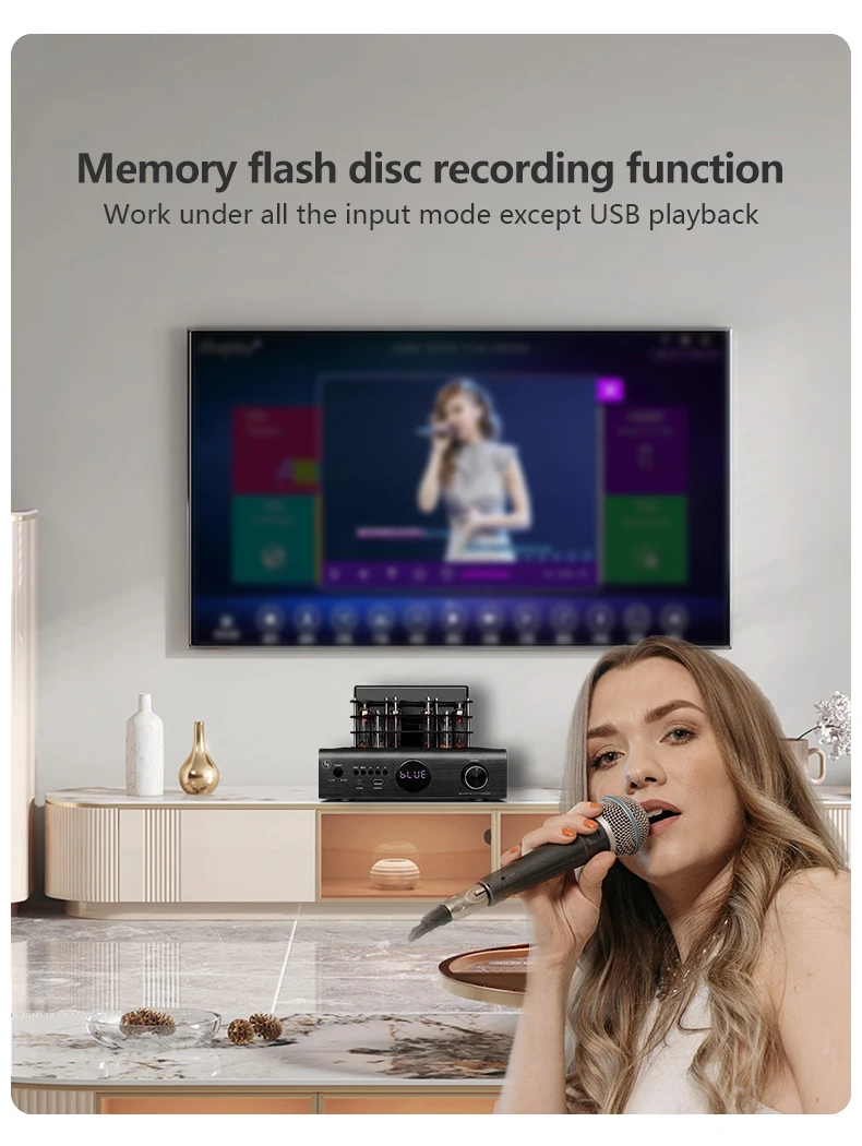 Powerful Stereo HIFI Integrated Home Amplifier with Digital Audio ...
