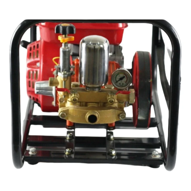 Portable Stroke Petrol Gasoline Power Sprayer 22mm Piston Pump New ...