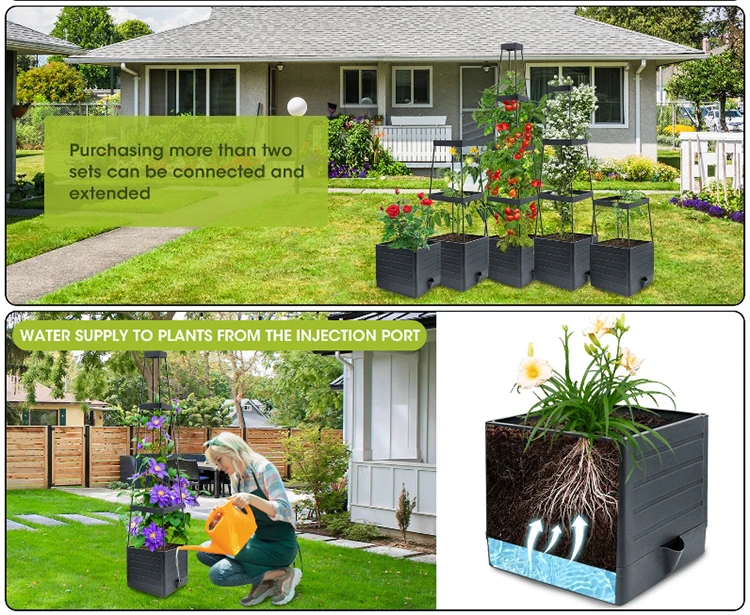 Garden Arch Lattice Plant Tomato Cage Clematis Rose Garden Trellis ...