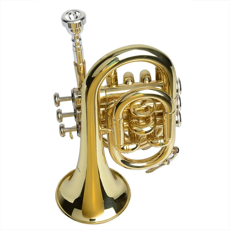 Wholesale Wind Instruments Brass Lacquer B Flat Trumpet Cornet With 7c ...