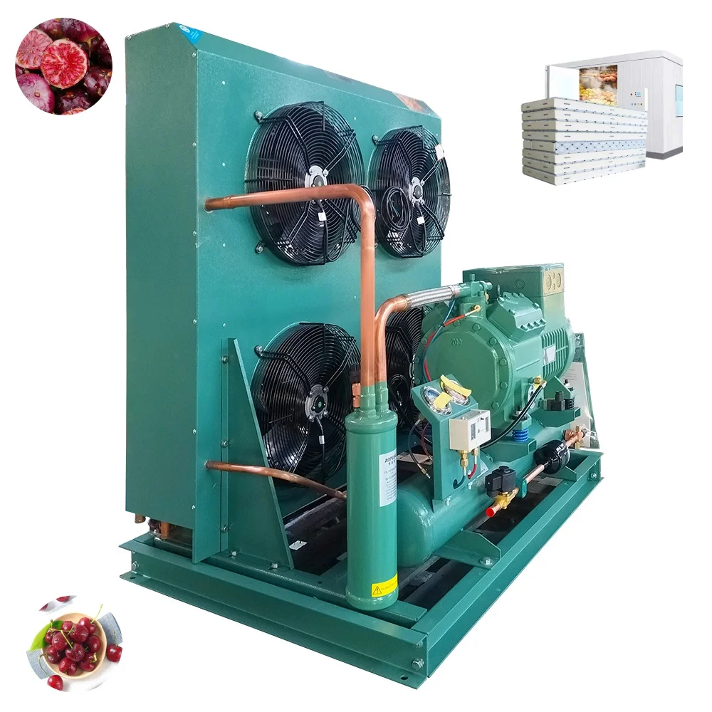 R404a 5hp Air -cooled Compressor Freezer Cold Room Condensing Units ...