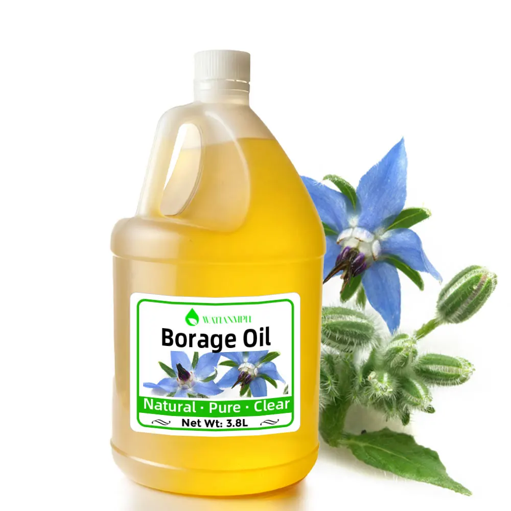 Wholesale Pure Borage Oil Cold Pressed High in GLA, for Skincare ...