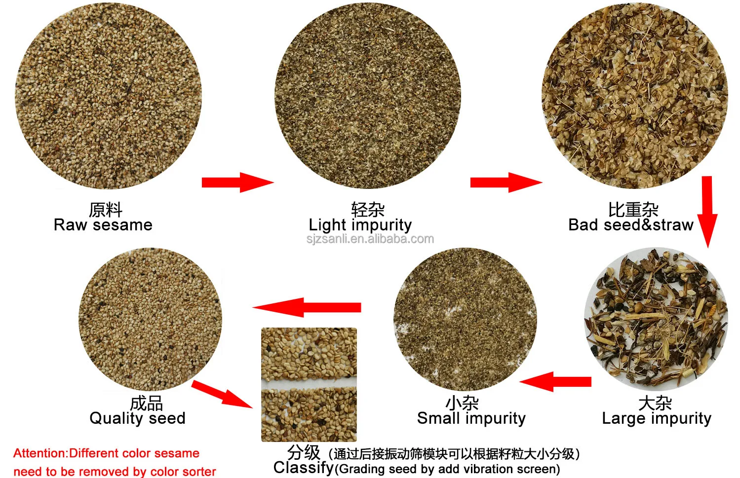 Sesame Seed Winnowing Cleaning Machine Grain Sorting Grading Machine ...