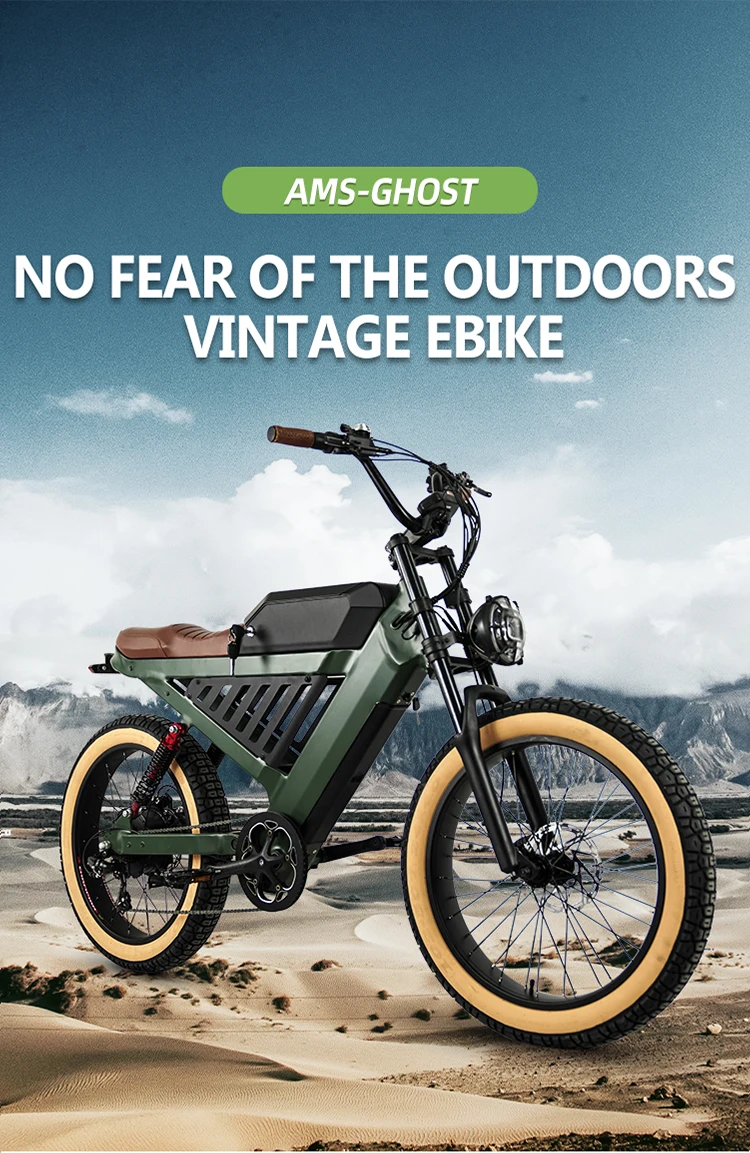 Aimos Electric Bike for Adults - 1000W Motor & 30ah Battery