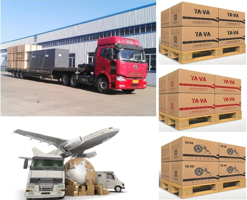 Plastic Modular Transfer Roller Plates for Chain Conveyor