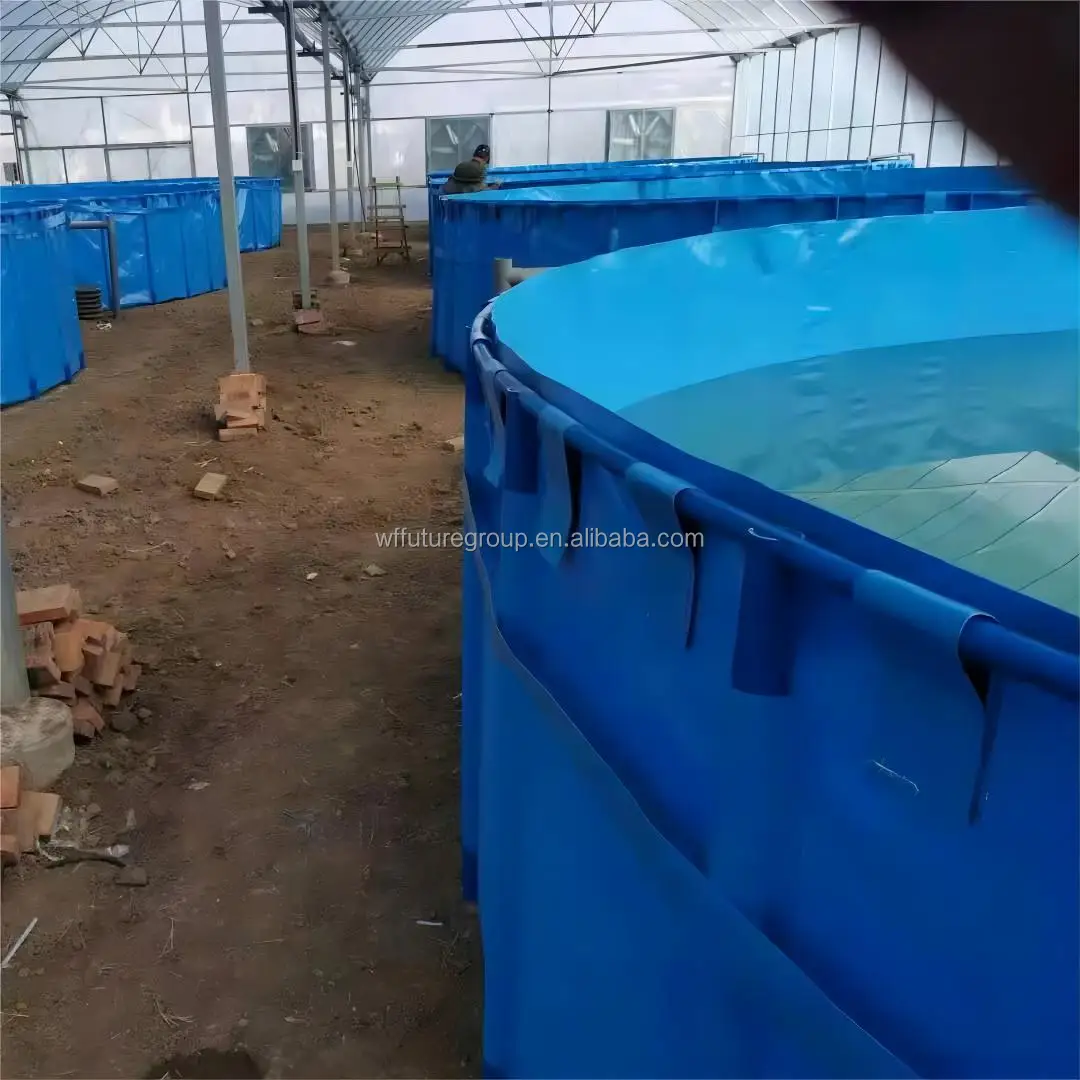 Portable Fish Pond Big Size Koi Pond Tanks Plastic Fish Tank Low ...