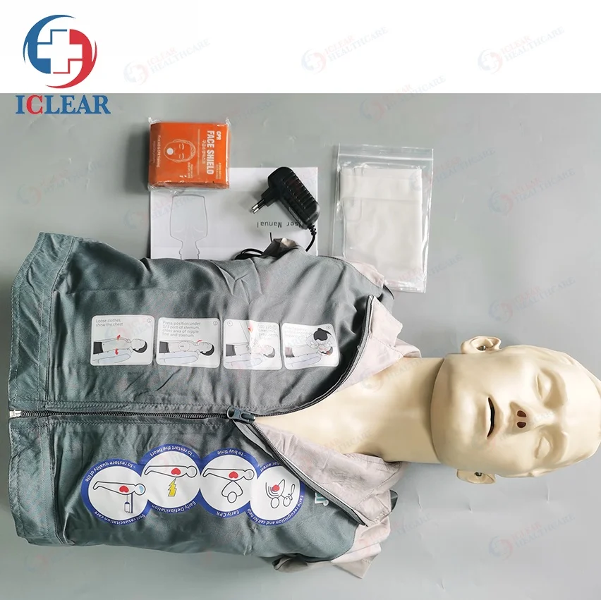 First Aid CPR Training Model with Blood Flow Visualization