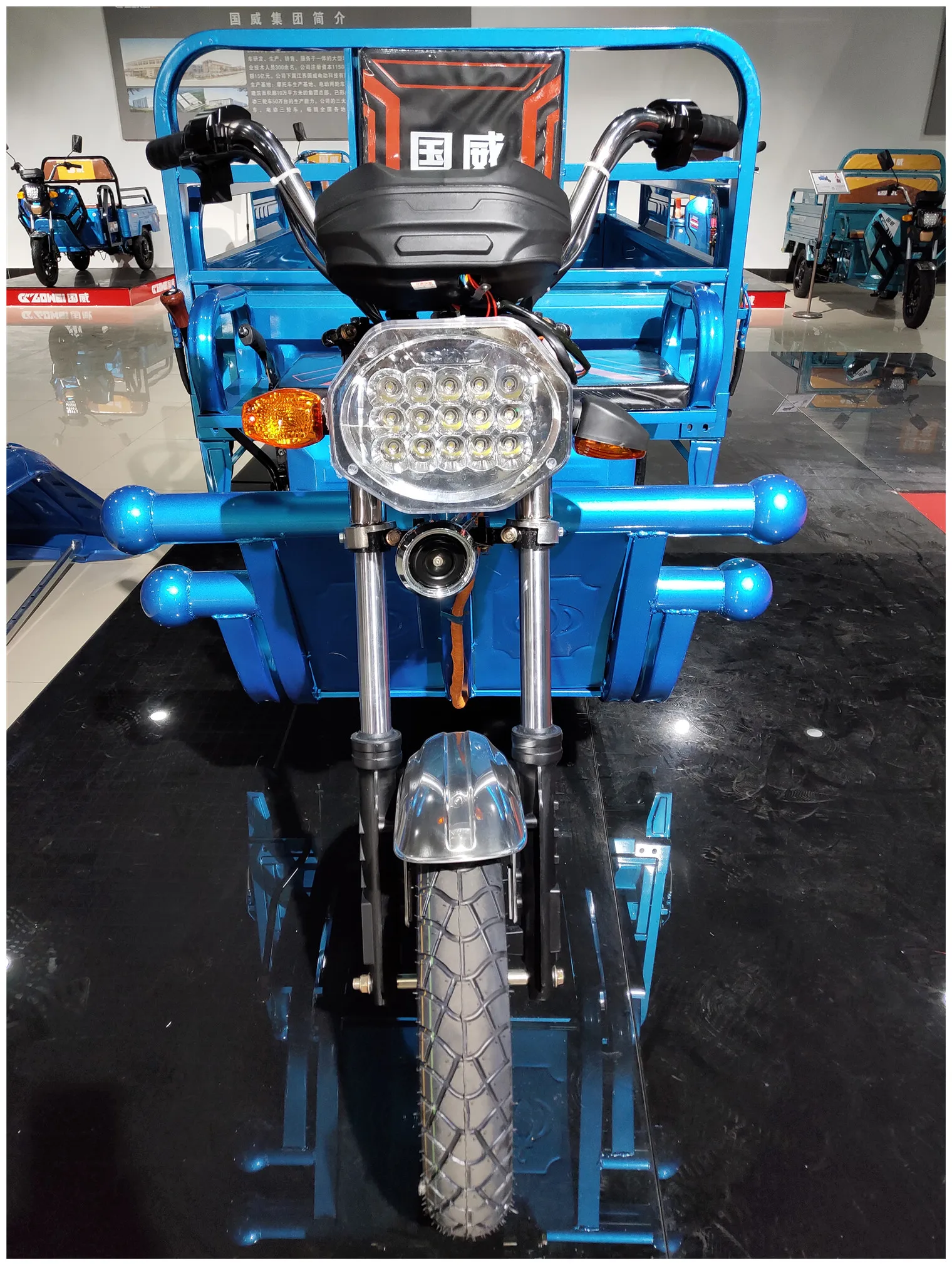 Electric Cargo Bike - Powerful 800W Tricycle for Delivery