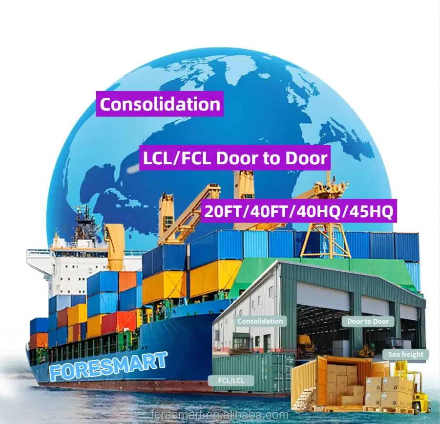 Fcl Container Warehouse Consolidation Service Shipping Agent Sea ...