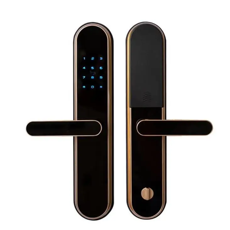 Electric Smart Door Lock Card Intelligent Keyless Key Fingerprint - Buy ...