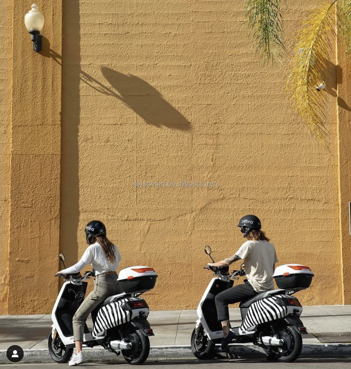 Elyx Scooter Zebra Ebike Moped Electric Scooter Battery