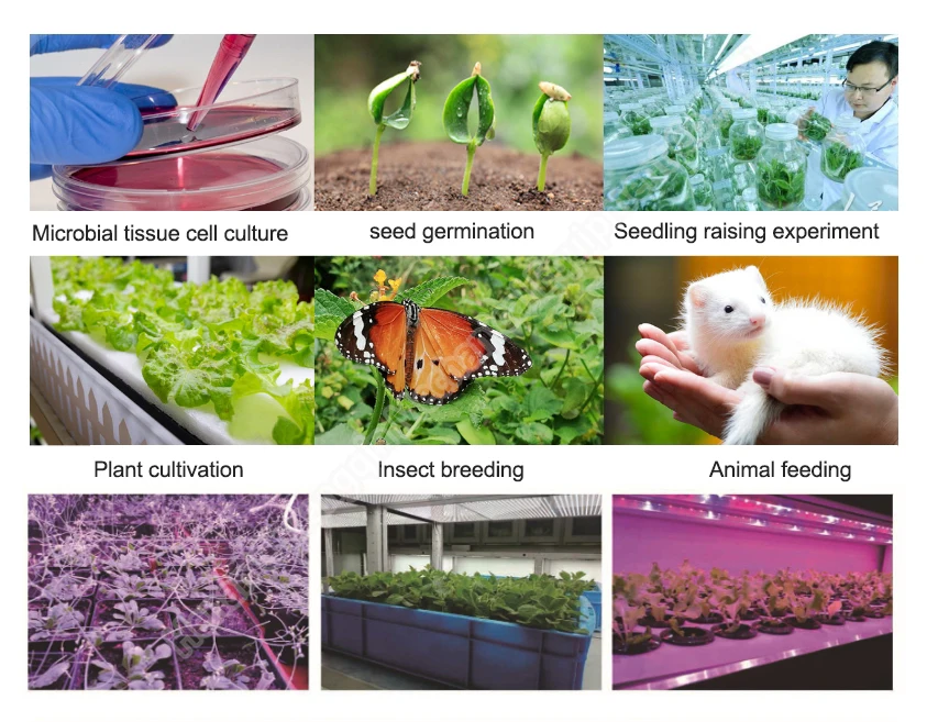 Programmable Temperature & Humidity Chamber Environment Climatic Test ...