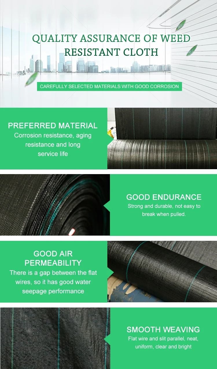 Agricultural Plastic Ground Cover Sheet/landscape Fabric Weed Barrier ...