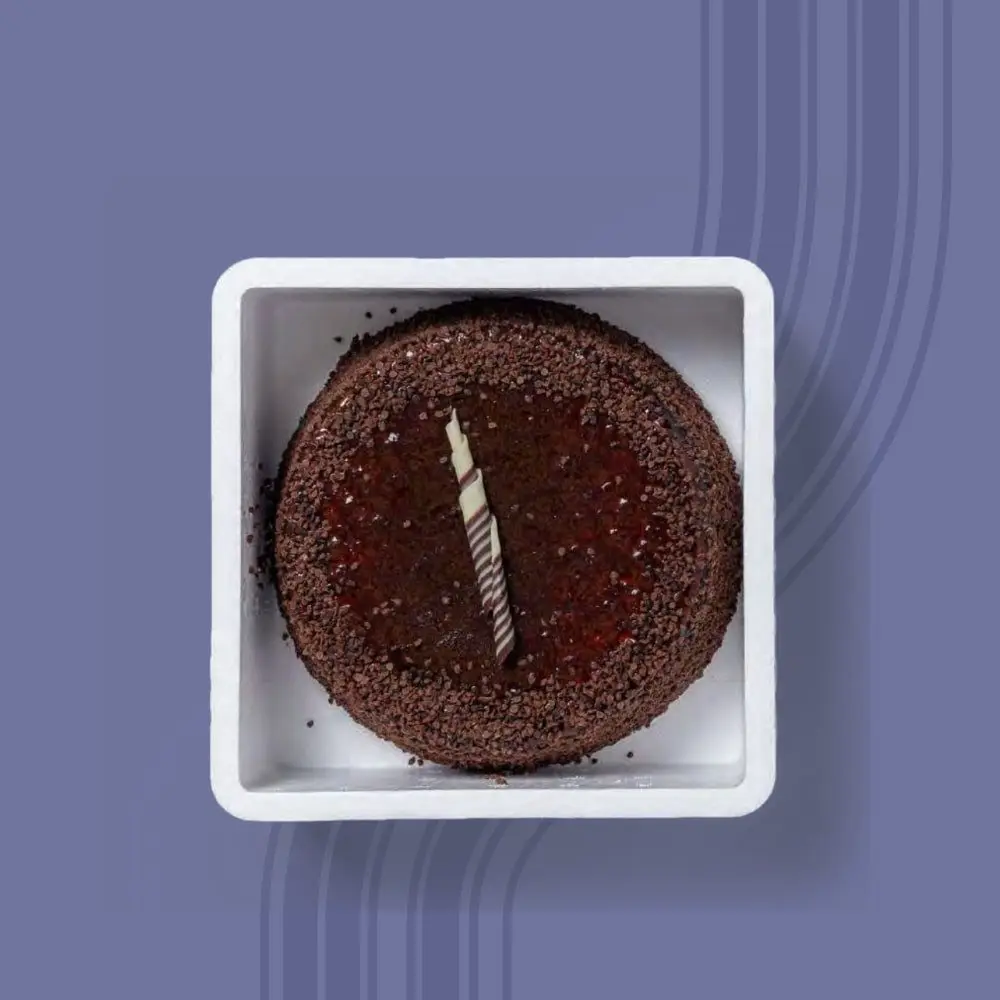 DOMOCLASS 8 LOW SQUARE - ICE CREAM CAKE CONTAINER| Alibaba.com