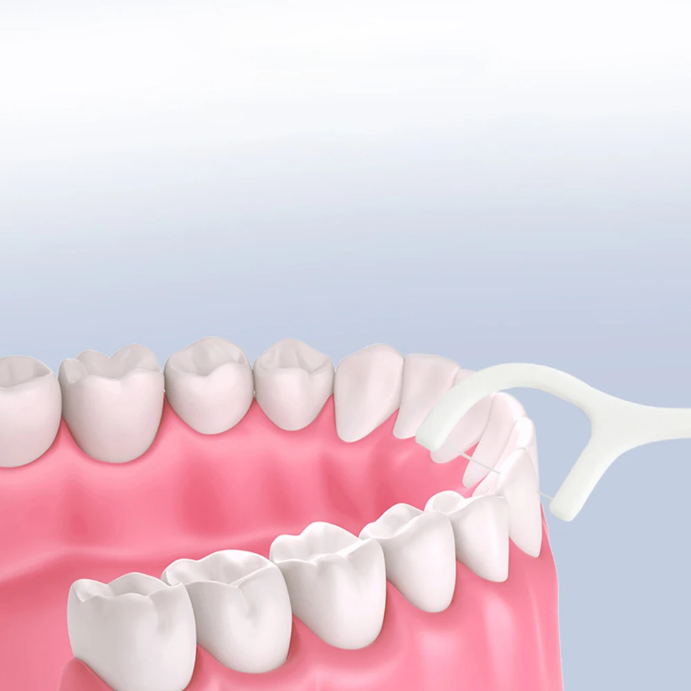 Professional Clean Flossers Extra Strong Flosser Pick For Adults & Kids ...