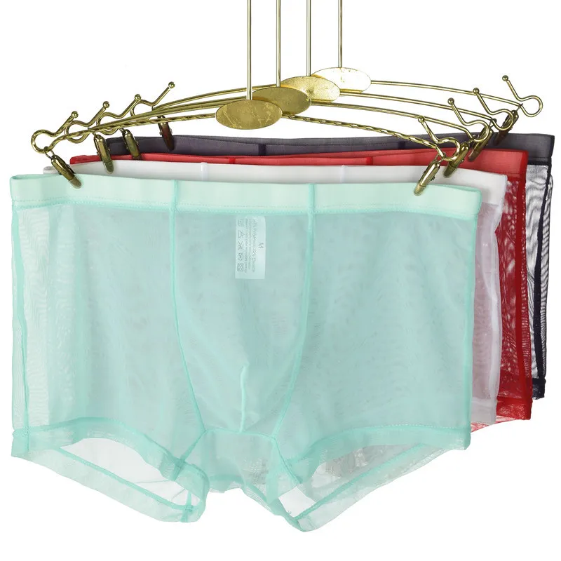 Mens Thin Mesh Boxers Briefs - See through Trunks