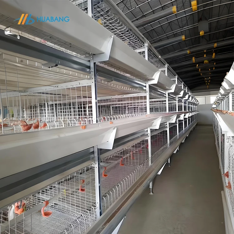 Alibaba.com: H Type 3 Tier Chicken Cage, Modern Design Broiler Poultry ...