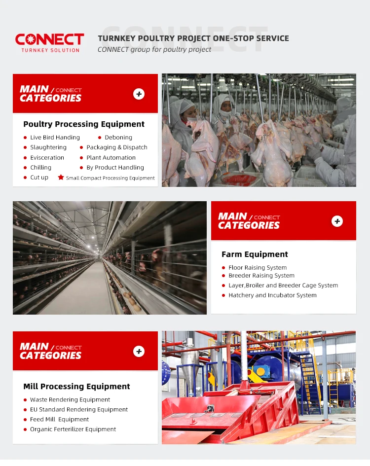Automatic Slaughterhouse Plant - Efficient Poultry Processing